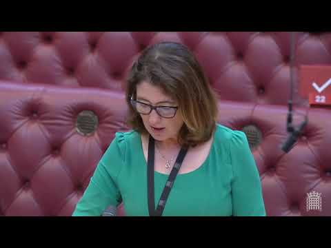 UK House of Lords Scrutinizes Functionality of Terrorism Act 2000 on 16 July 2020 | Debra V. Wilson