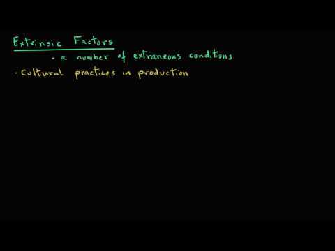 Shelf Life of Foods Influencing Factors