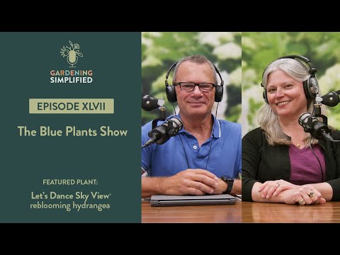 The Blue Plants Show | 47