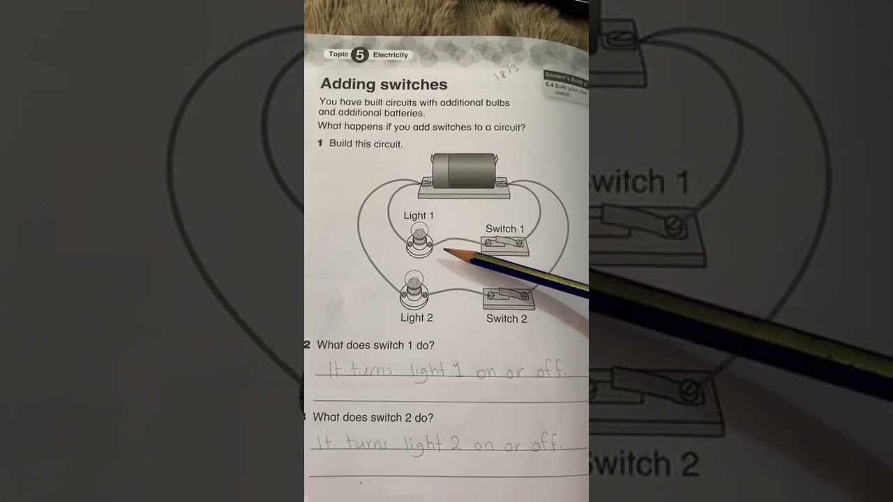 Grade 2  ”Adding switches “ workbook page 66  Science Teacher Sana’a