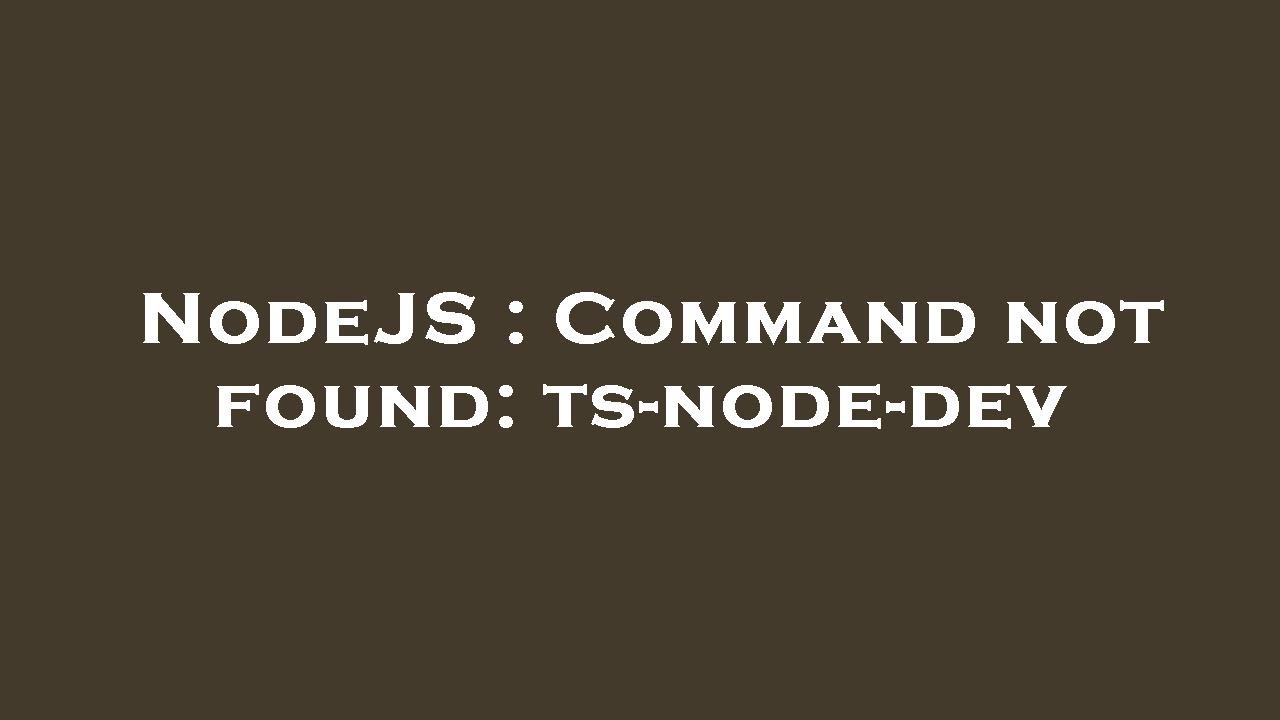 NodeJS : Command not found: ts-node-dev