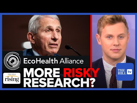 Robby Soave: More LAB LEAK-CONNECTED Research On Bats? NIH Gives EcoHealth Alliance Another $600K