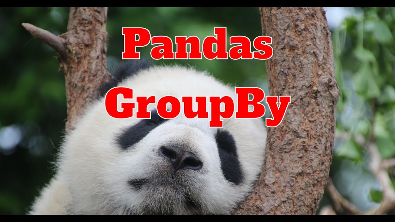 Mastering Pandas GroupBy: Unleashing the Power of Data Aggregation in Python