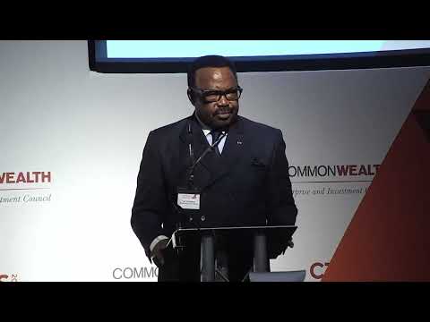 CTIS 2023 - Cameroon, Spotlight on the National Development Strategy (NDS 2030)