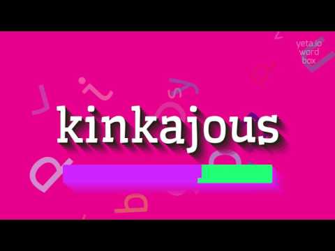 How to say "kinkajous"! (High Quality Voices)