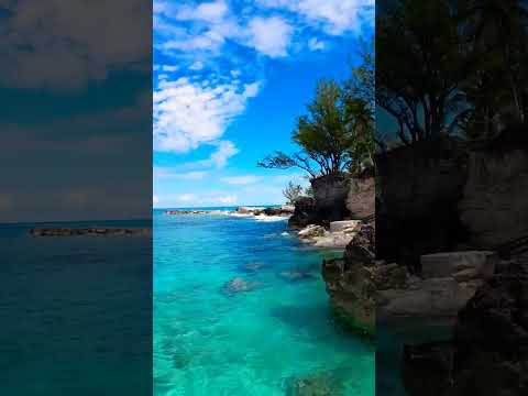 What is the Best Excursion in Nassau Bahamas?