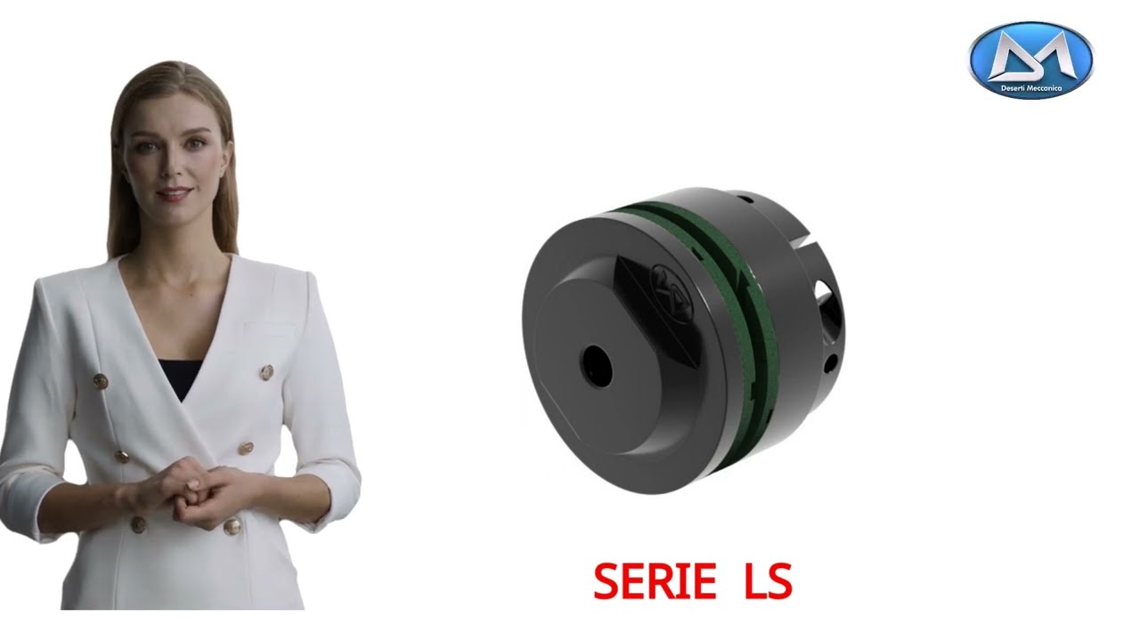 LIMITATORE DI COPPIA A FRIZIONE SERIE LS - FRICTION TORQUE LIMITERS LS SERIES