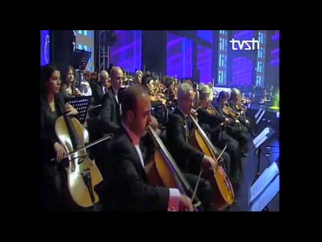 Festivali i Këngës #52: Renis Gjoka - "Mjegulla"