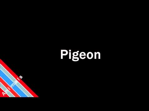 How to Pronounce Pigeon