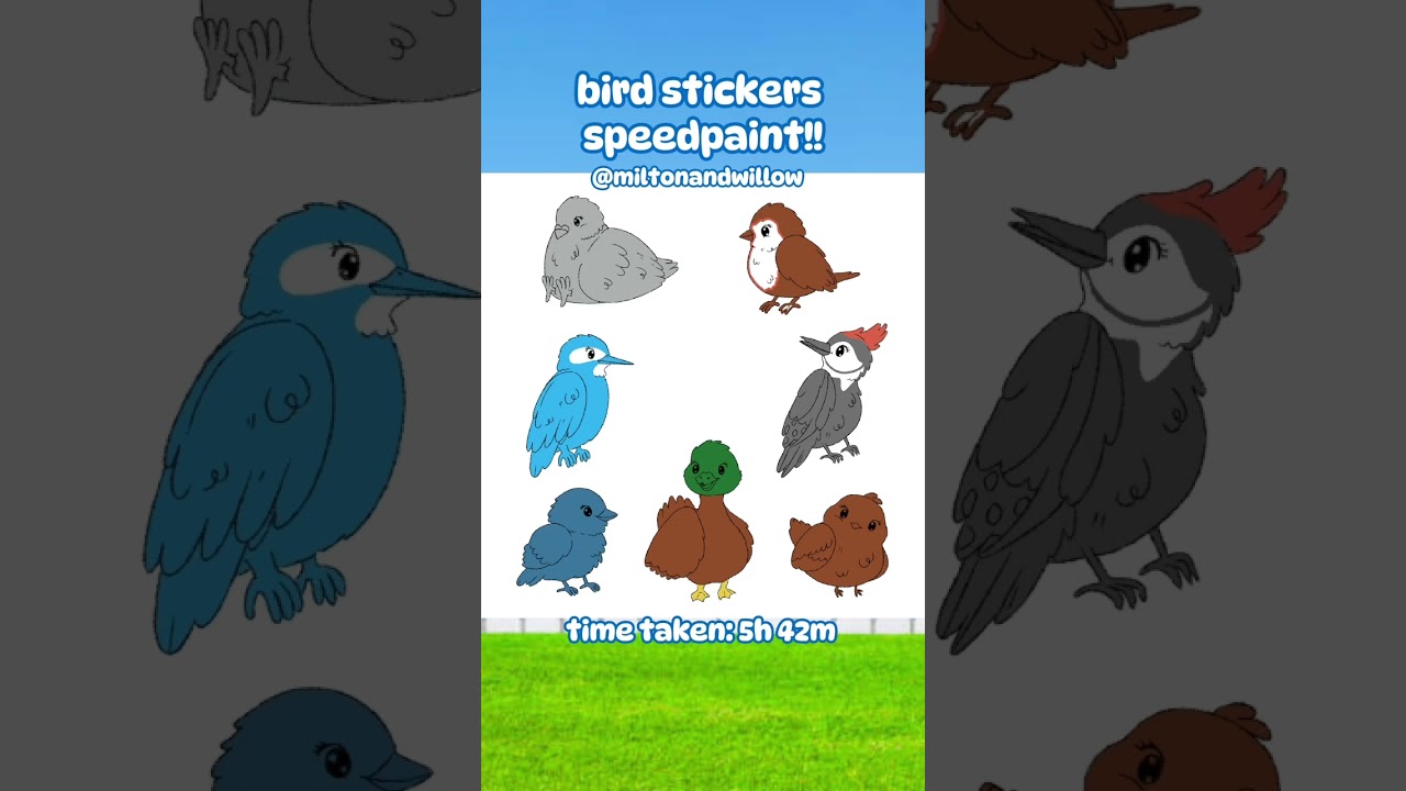 bird stickers!! #britishbirds #smallbusiness #cute #illustration #speedpaint #procreate #art #birds