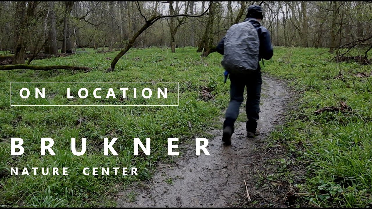 On Location: Brukner Nature Center