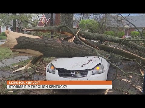 Severe weather leaves behind an impact in Lexington, Kentucky