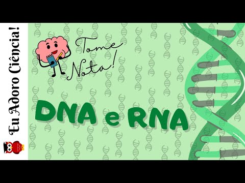 TOME NOTA: DNA e RNA