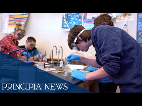 Hands-On Learning