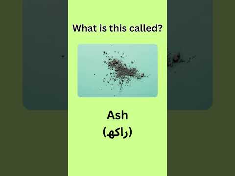 What is this called? #learnenglishvocab #learn #dailyenglish