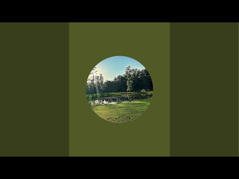 Putting out yellow acorns ????Woods2Water OutDoor5 is live!