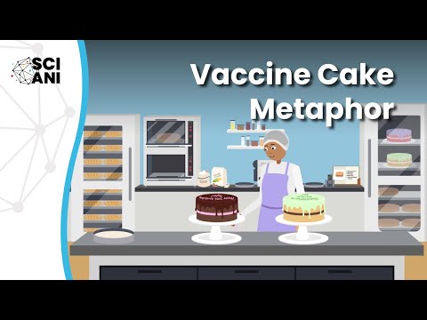 Are vaccines that are developed quickly safe? A cake metaphor