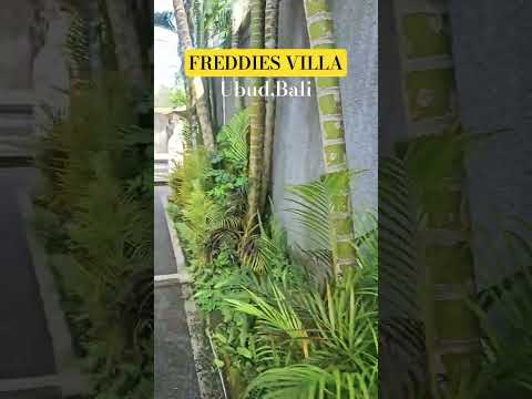 📌  Freddies Villa, Ubud #balivlog #baliescape #bali #indonesia #singapore #travelgram #travel #yt