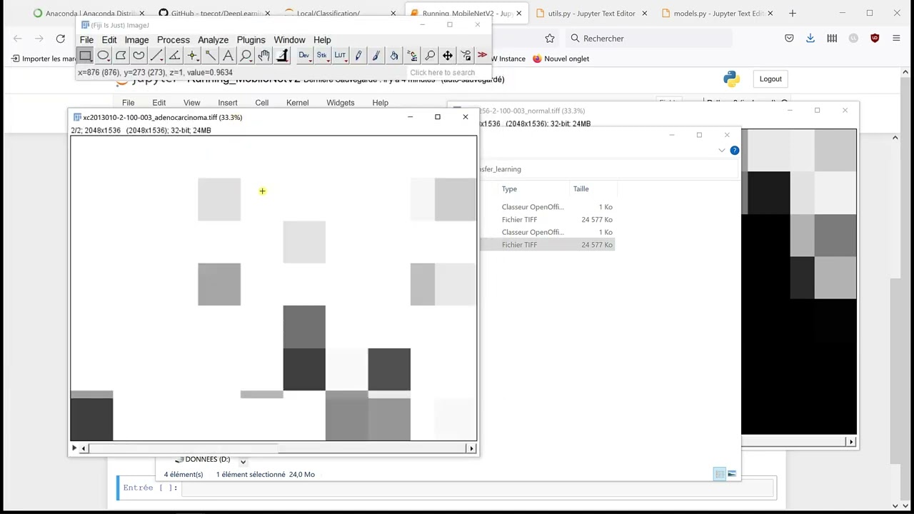 Deep learning for biologists - Classification - MobileNetV2 processing