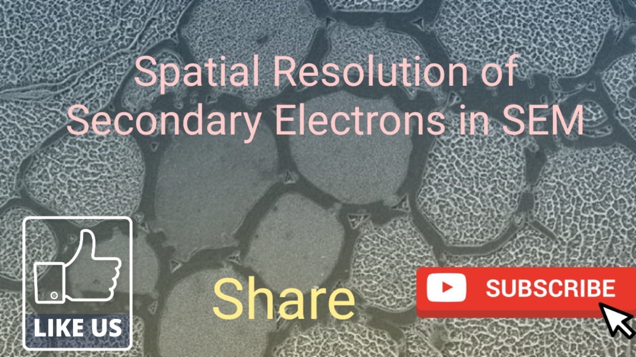 Spatial Resolution of Secondary Electrons in Scanning Electron Microscope (SEM)