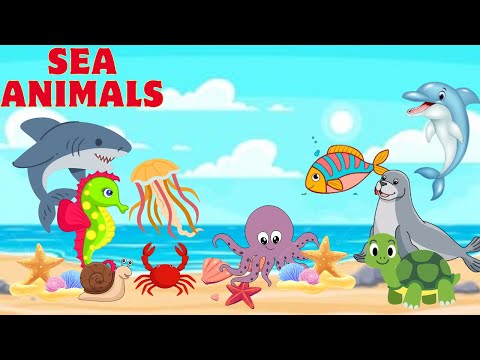 Sea animals | Sea Animals name with Pictures | Sea Animals for kids | Sea Animals Song #shark #whale