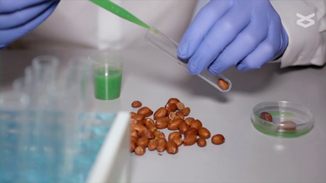 The hidden world of plants’ interactions with microbes