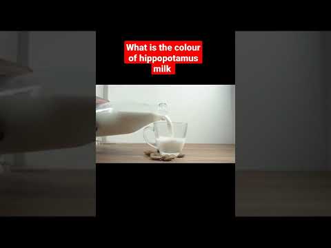 what is the colour of hippopotamus milk #shorts