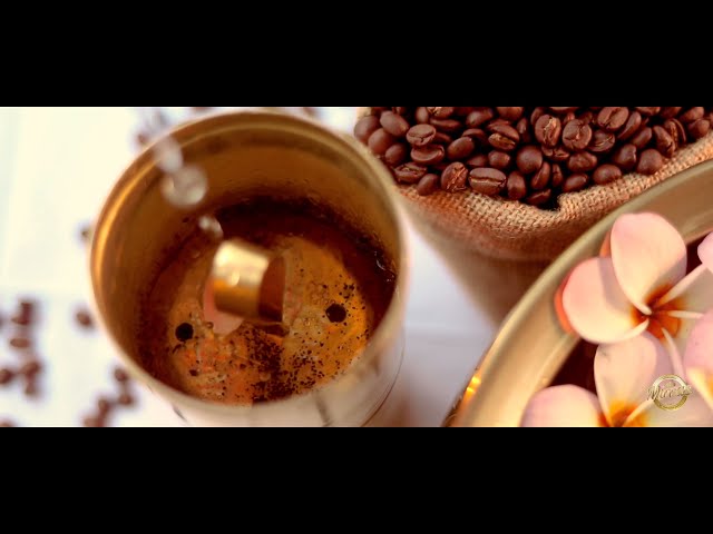 Filter Coffee Powder - Instant Filter Coffee Powder Trader - Wholesaler ...