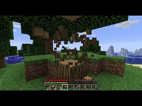 Playing Minecraft in single player Hardcore mode – Minecraft Mark