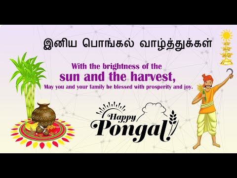 How to make a simple Pongal Greeting Image | Create Designs in Photoshop | Social Media Post 2023