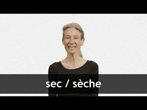 English Translation of “SÈCHE” | Collins French-English Dictionary