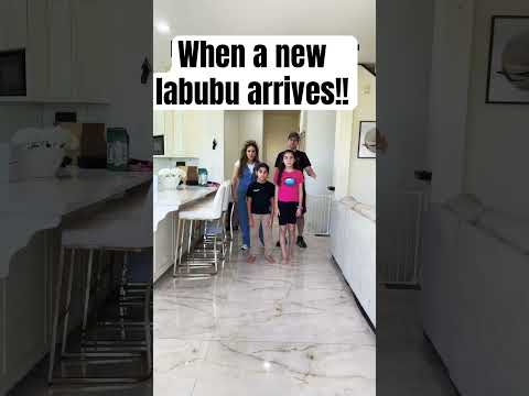 Who likes labubus?? #shorts #short #jancyfamily