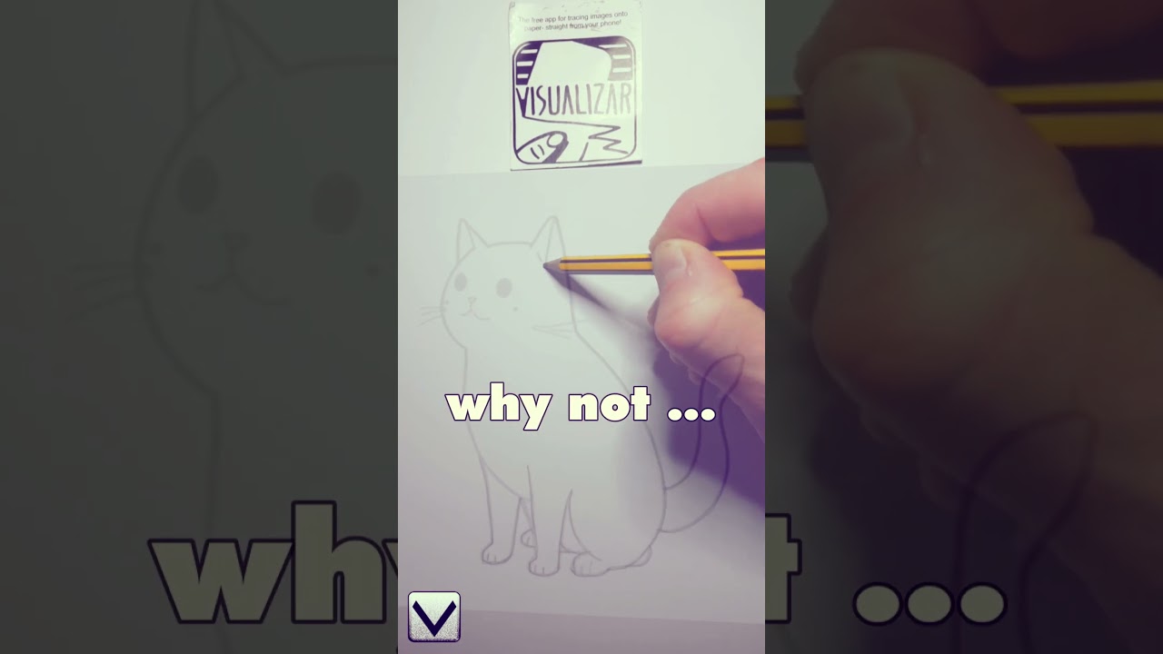 #quick  #cat #drawing #visualizar