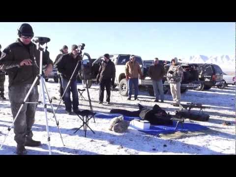 Desert Tactical Arms Hard Target Interdiction (DTA HTI) .375 Cheytac ...