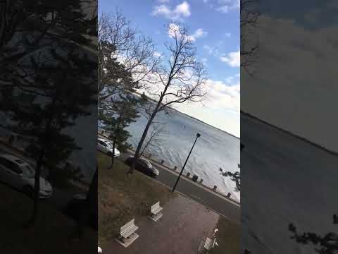 views from a college campus (Kbcc) #shorts