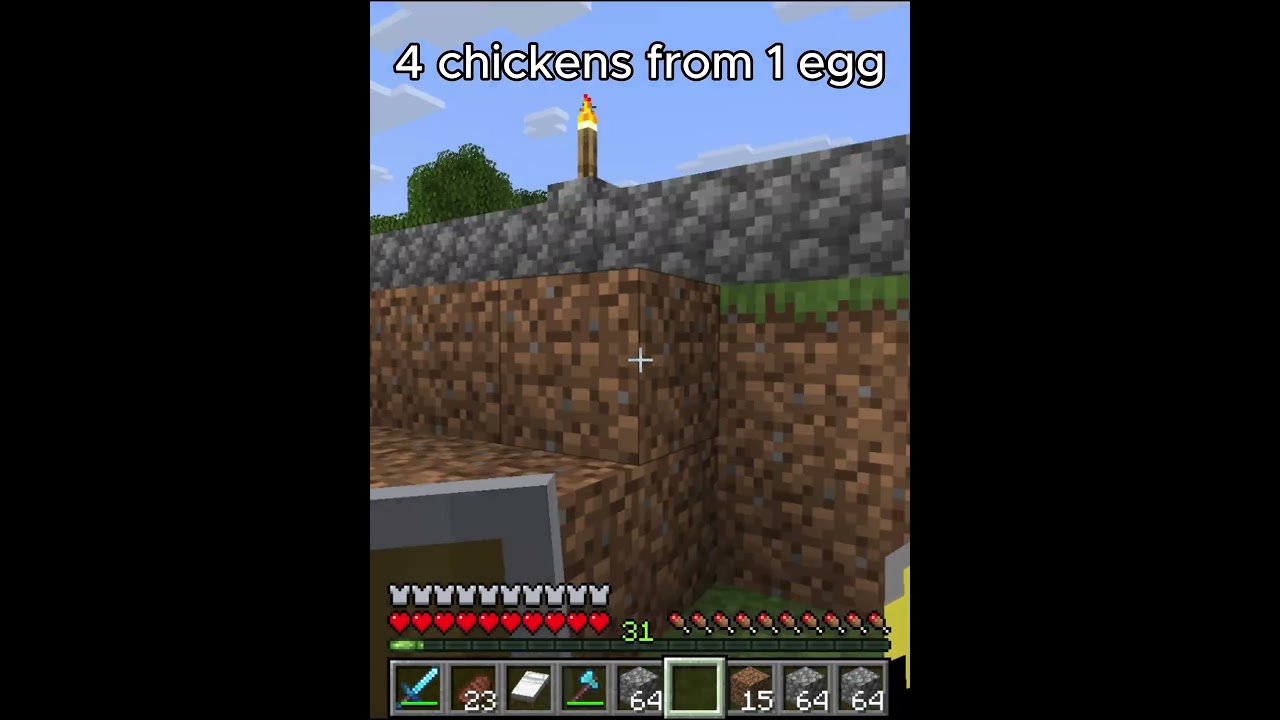4 chickens from 1 egg! #minecraft #superrare #gaming