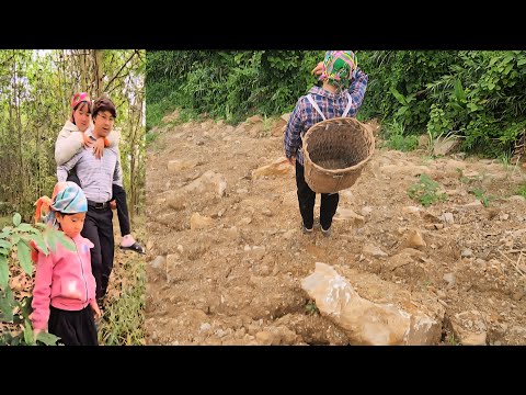 Sung Luyen's Tearful Journey to Find CEO James, Can Love Bring Them Back Together?