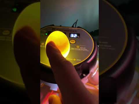 Candling a CHICKEN egg!  Day 3!