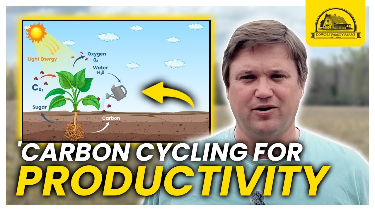 Managing the Carbon Cycle for Productivity in Regenerative Farming