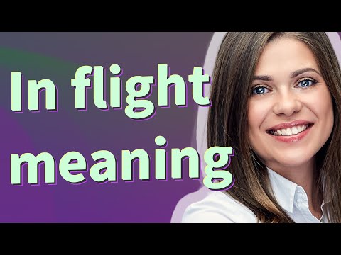 In flight | meaning of In flight