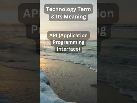 Tech Savvy: Information Technology 101! #informationtechnology #technology #techsavvy