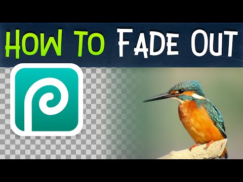 How to Fade an Image to Transparent in Photopea (Short Tutorial)