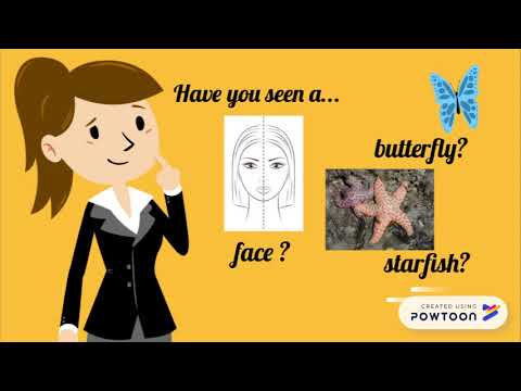 Mathematics in the Modern World | Patterns & Regularities