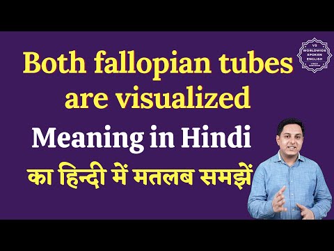 Both fallopian tubes are visualized meaning in Hindi | Both fallopian tubes are visualized ka matlab