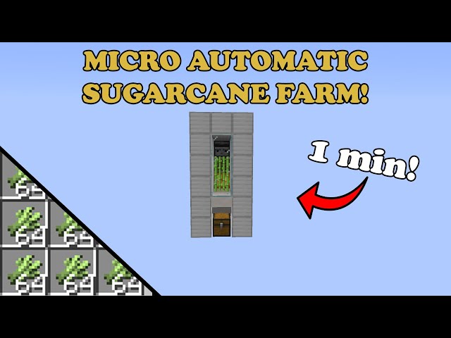 How to build a micro crop farm in Minecraft