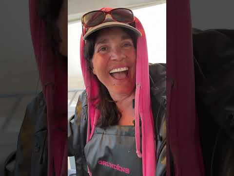 Caryl caught all these nice size tilefish with her electric reel #kingkonadventure