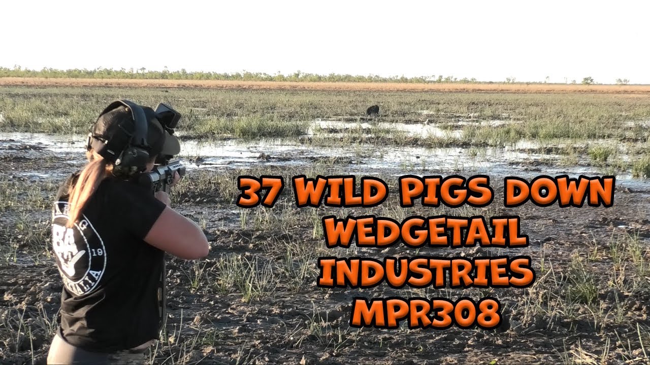 NOT YOUR ADVERAGE REVIEW ON THE WEDGETAIL INDUSTRIES MPR308