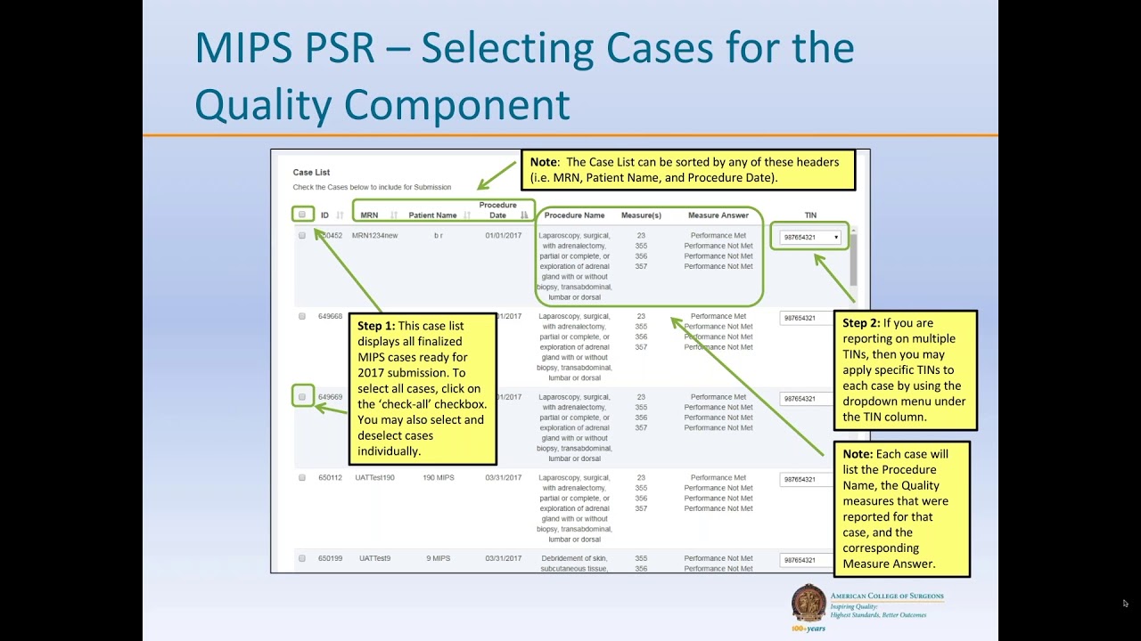 Approving Your MIPS 2017 Data Submission via the SSR