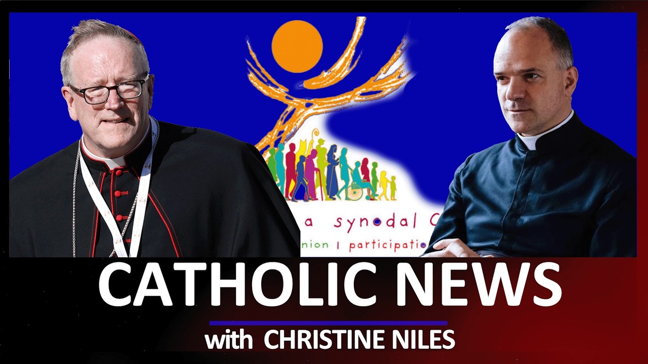 Bishop Barron Backlash; Rome Warns SSPX; Synod Group Pushes LGBT & more | CATHOLIC NEWS ROUNDUP