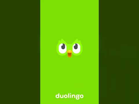 Super Duolingo - Opening Animation